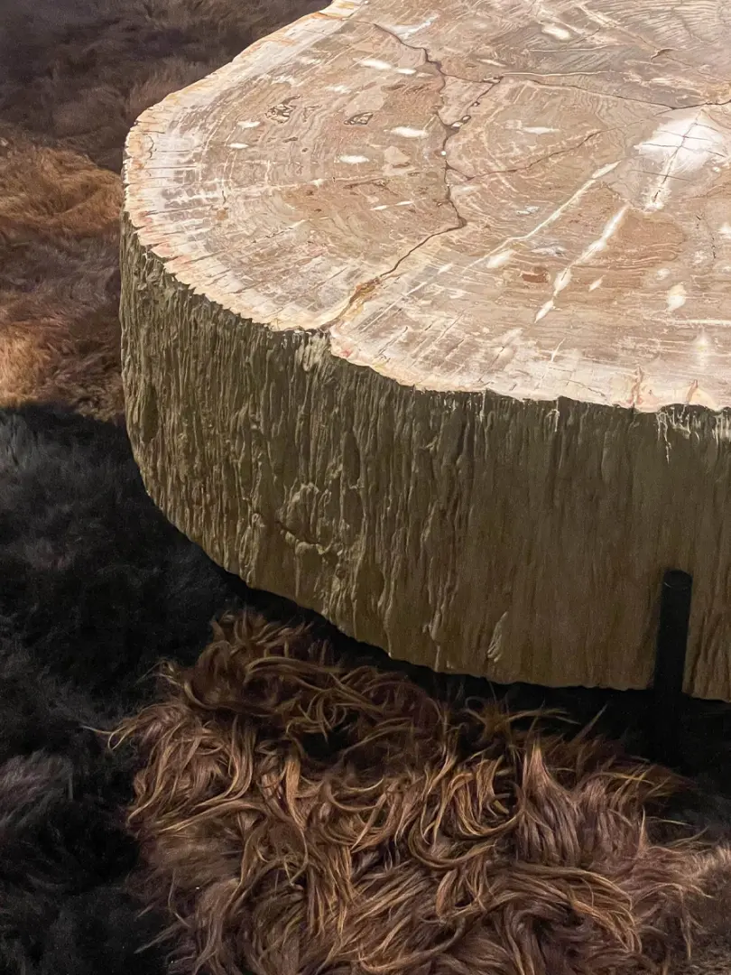 Salontafel versteend hout | De Factorij Unique Living | Retie